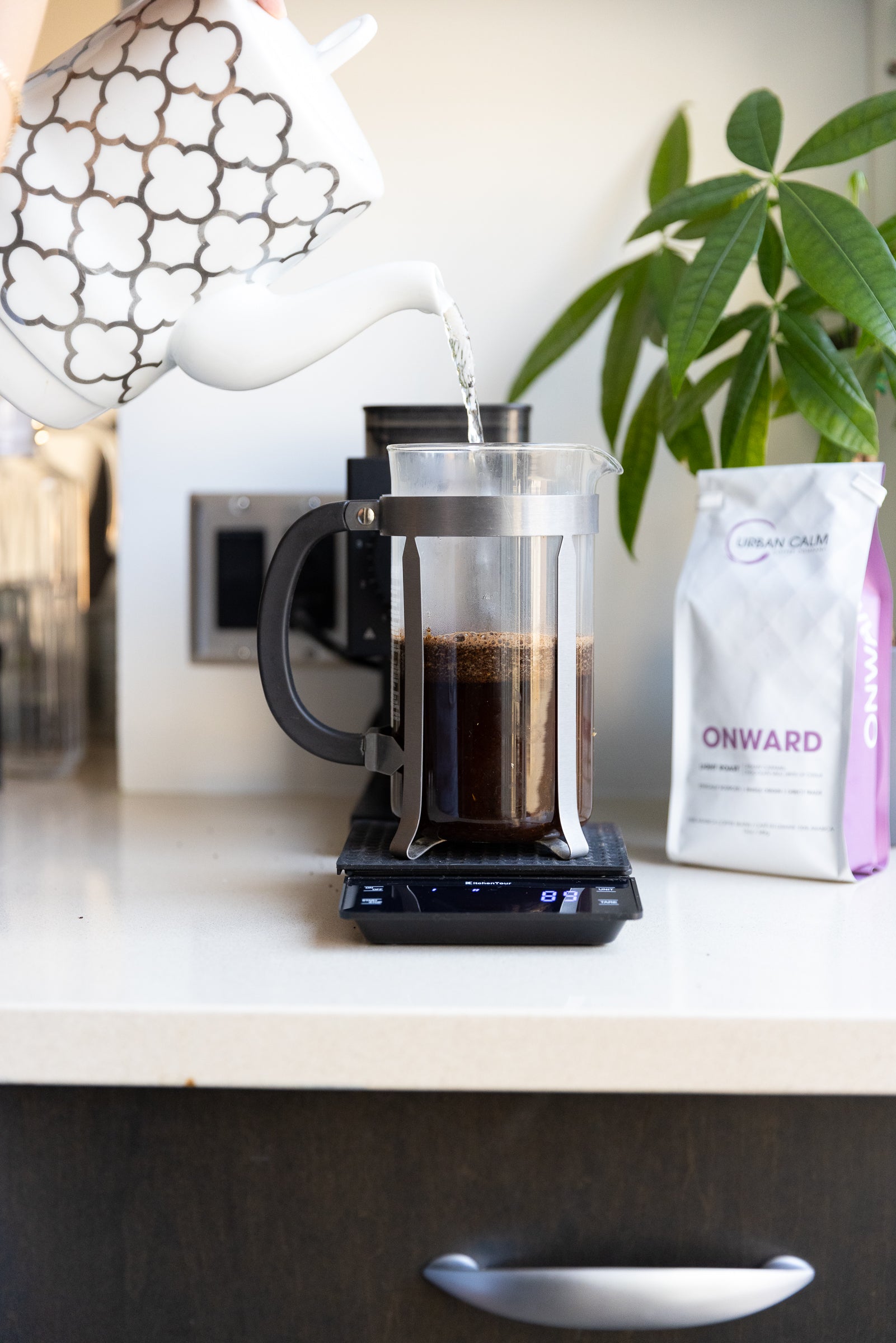 French Press Coffee Made Easy: From Bean To Brew, Everything You Need ...